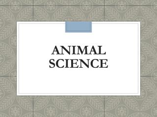 PPT - ANIMAL SCIENCE PowerPoint Presentation, free download - ID:1862885
