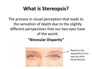 PPT - What is Stereopsis ? PowerPoint Presentation, free download - ID ...