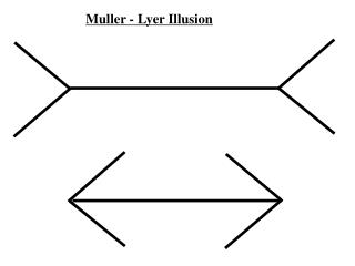 PPT - Muller - Lyer Illusion PowerPoint Presentation, free download ...