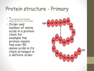 PPT - Protein structure - Primary PowerPoint Presentation, free ...