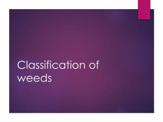 PPT - Classification of weeds PowerPoint Presentation, free download - ID:1886134