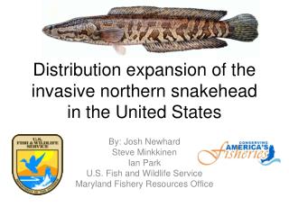 PPT - Distribution expansion of the invasive northern snakehead in the ...