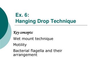 PPT - Ex. 6 : Hanging Drop Technique PowerPoint Presentation, free ...