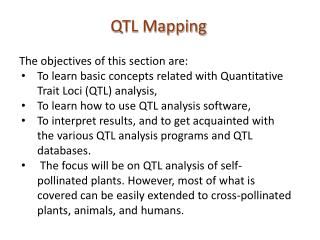 PPT - QTL Mapping PowerPoint Presentation, free download - ID:1917240