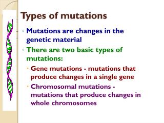 PPT - Types of mutations PowerPoint Presentation, free download - ID ...