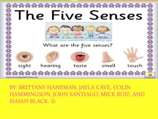PPT - OUR 5 SENSES PowerPoint Presentation, free download - ID:1943662