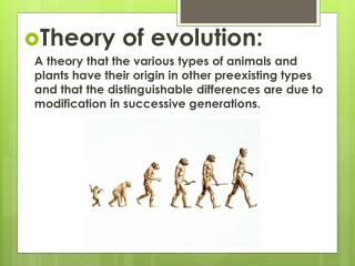 PPT - Theory of evolution: PowerPoint Presentation, free download - ID ...