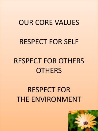 PPT - OUR CORE VALUES RESPECT FOR SELF RESPECT FOR OTHERS OTHERS ...