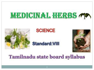 PPT - MEDICINAL HERBS PowerPoint Presentation, free download - ID:1974368