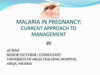 PPT - MALARIA IN PREGNANCY: CURRENT APPROACH TO MANAGEMENT PowerPoint ...