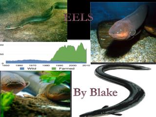 PPT - Electron Energy-Loss Spectrometry (EELS) PowerPoint Presentation ...