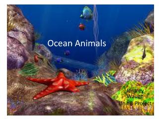 PPT - Ocean Animals PowerPoint Presentation, free download - ID:2005307
