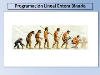 PPT - Programación Lineal Entera Binaria PowerPoint Presentation, free download - ID:2013219