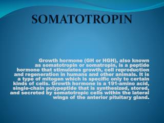 PPT - SOMATOTROPIN PowerPoint Presentation, free download - ID:2013832