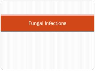 PPT - Fungal Infections PowerPoint Presentation, free download - ID:2014488