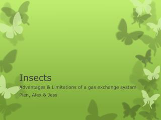 PPT - Insects PowerPoint Presentation, free download - ID:2015951