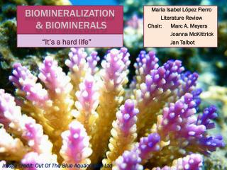 PPT - Biomineralization & Biominerals PowerPoint Presentation, free ...