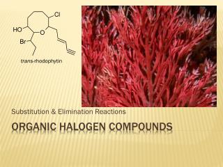 PPT - Organic halogen compounds PowerPoint Presentation, free download ...