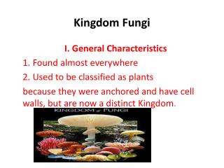 PPT - Classification of Fungi PowerPoint Presentation - ID:5366222