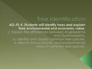 PPT - Tree Identification PowerPoint Presentation, free download - ID ...