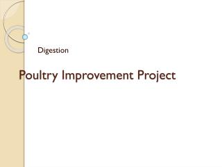 PPT - Poultry Improvement Project PowerPoint Presentation, free ...