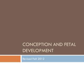 PPT - Conception and Fetal Development PowerPoint Presentation, free ...
