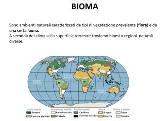 PPT - I Biomi PowerPoint Presentation - ID:6936439