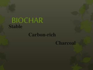 PPT - BIOCHAR PowerPoint Presentation, free download - ID:2048188