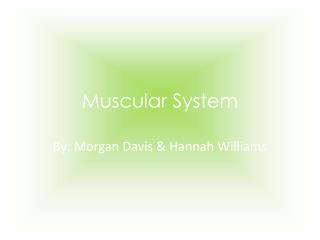 PPT - Muscular System PowerPoint Presentation, free download - ID:2052624
