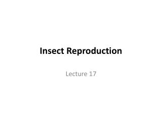 PPT - Insect Reproduction PowerPoint Presentation, free download - ID ...