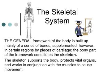 PPT - The Skeletal System PowerPoint Presentation, free download - ID ...