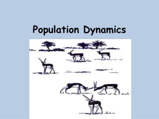 PPT - Population Dynamics PowerPoint Presentation, free download - ID ...