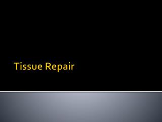 PPT - Tissue Repair PowerPoint Presentation, free download - ID:2090791
