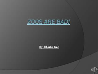 PPT - Should animals be kept in zoos? What are the pros and cons about ...