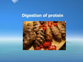 PPT - Digestion of protein PowerPoint Presentation, free download - ID ...