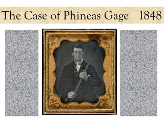 PPT - The Strange Case of Phineas Gage PowerPoint Presentation - ID:2104815