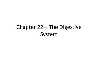 PPT - Chapter 23 Digestive System Lecture 11 PowerPoint Presentation ...