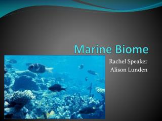 PPT - Marine Biome PowerPoint Presentation, free download - ID:2121305