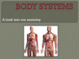 PPT - BODY SYSTEMS PowerPoint Presentation, free download - ID:2132882