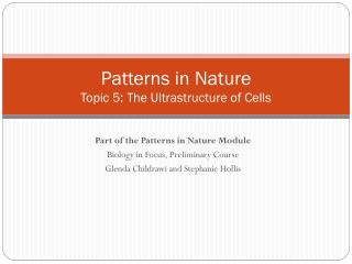 PPT - The 5 Patterns in Nature PowerPoint Presentation - ID:6702310