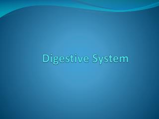 PPT - Digestive System PowerPoint Presentation, free download - ID:2140200