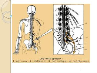 PPT - Nerf Gun PowerPoint Presentation - ID:2430119