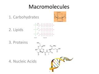 PPT - Testing Macromolecules PowerPoint Presentation - ID:4824470