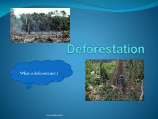 PPT - Deforestation PowerPoint Presentation, free download - ID:2174932