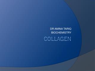 PPT - COLLAGEN PowerPoint Presentation, free download - ID:2176528