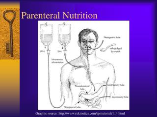 PPT - Parenteral Nutrition PowerPoint Presentation - ID:1883338