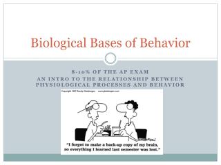 PPT - Biological Basis of behavior PowerPoint Presentation - ID:2616846