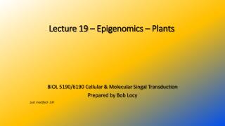 PPT - Lecture 19 – Epigenomics – Plants PowerPoint Presentation, free ...