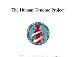 PPT - The Human Genome Project PowerPoint Presentation, free download ...