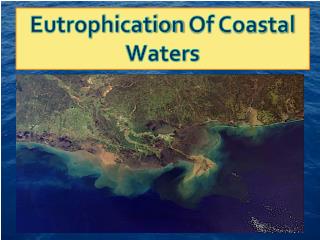 PPT - Impacts of Eutrophication PowerPoint Presentation - ID:195388